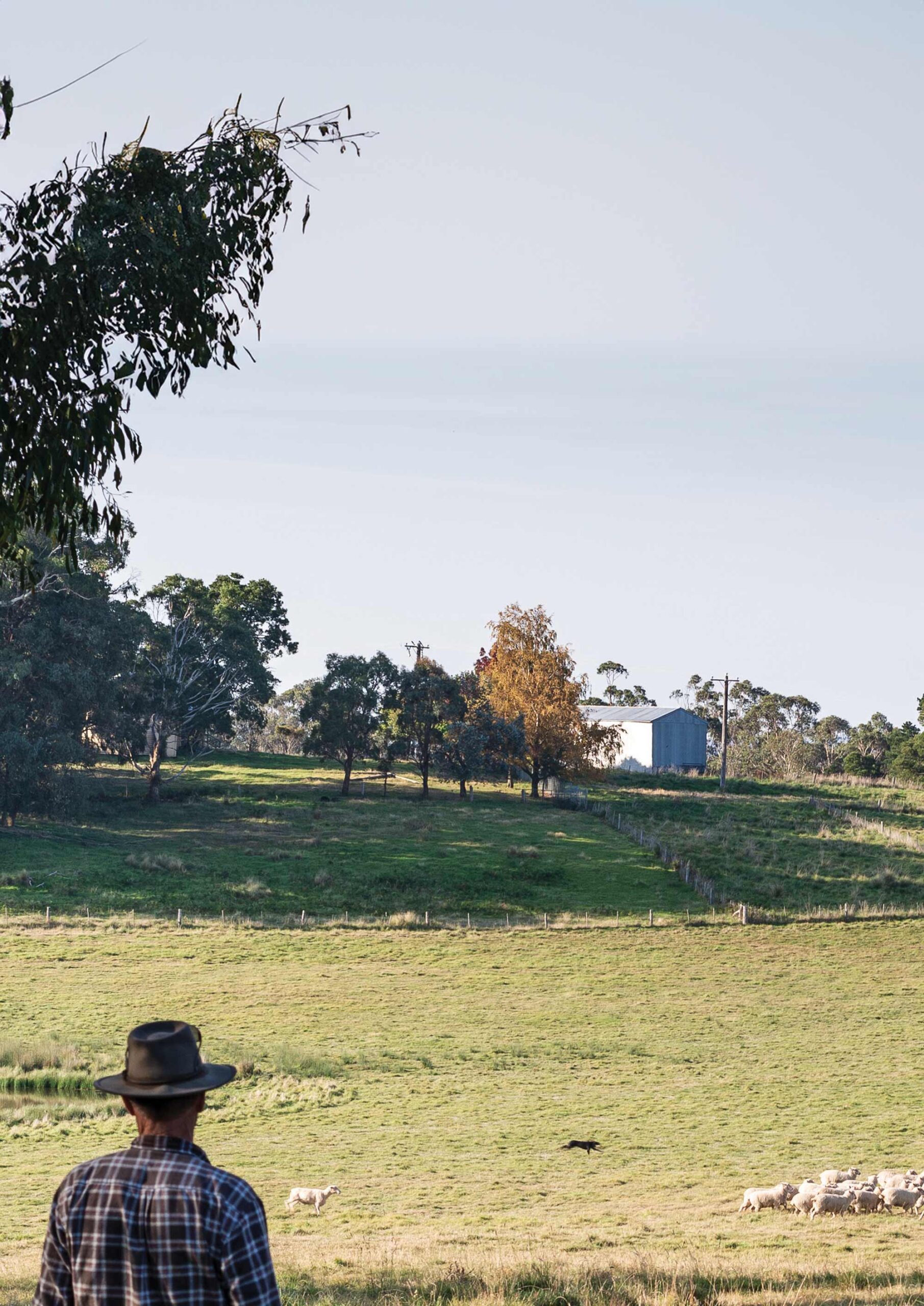 About Venn Energy – Cooba Solar Project